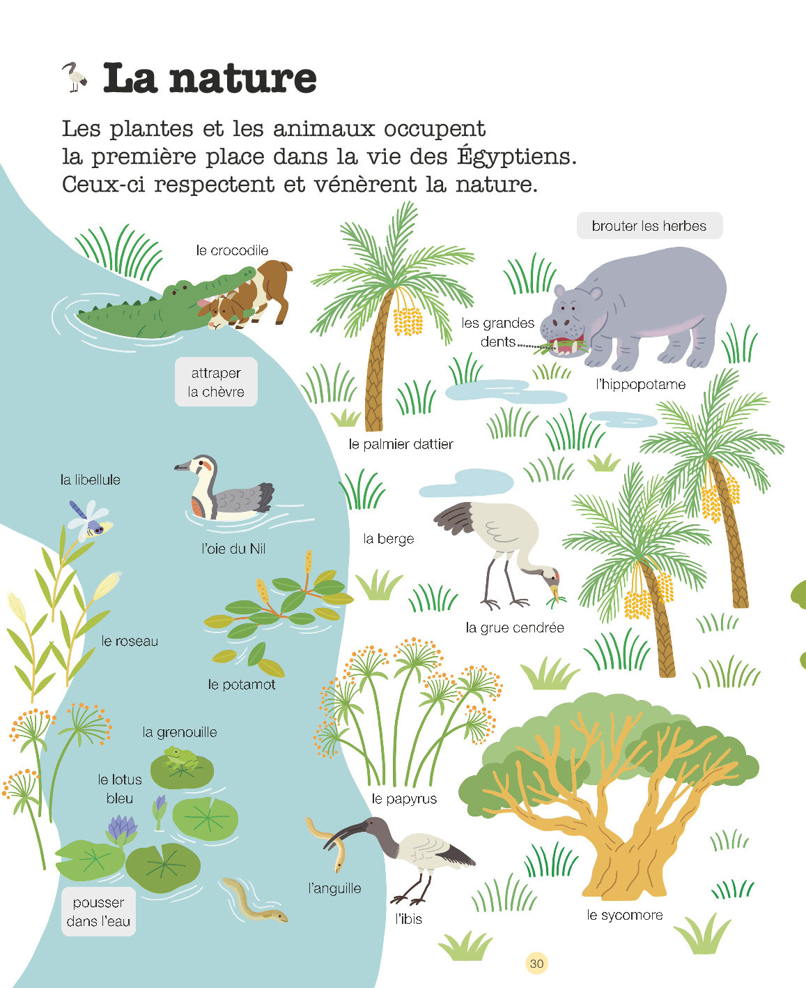 L’EGYPTE ANCIENNE//MES ANNEES POURQUOI – IMAGERIE/MILAN/ - L'ADRS