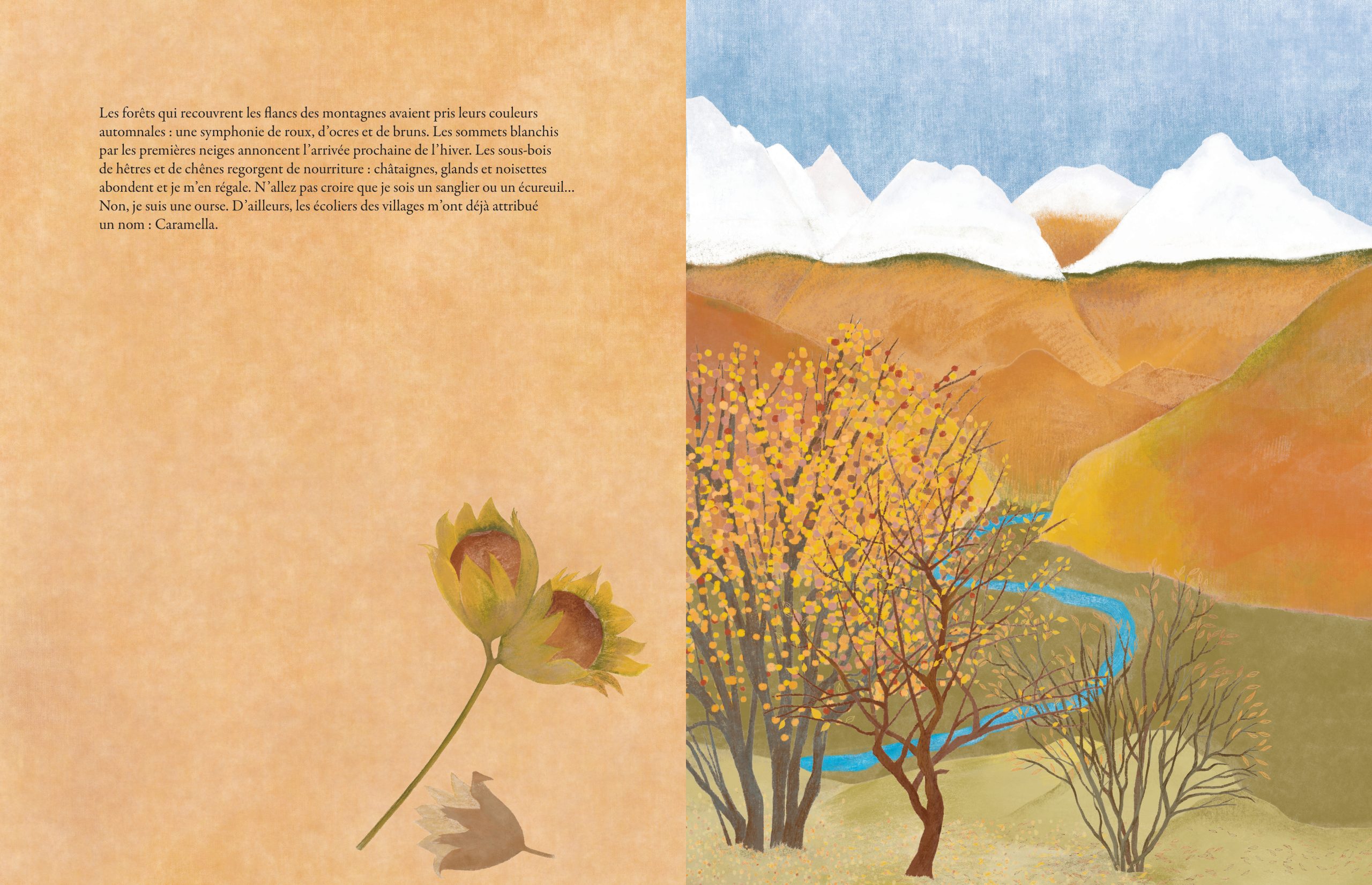 MOI, L’OURSE///CIRCONFLEXE/ - L'ADRS