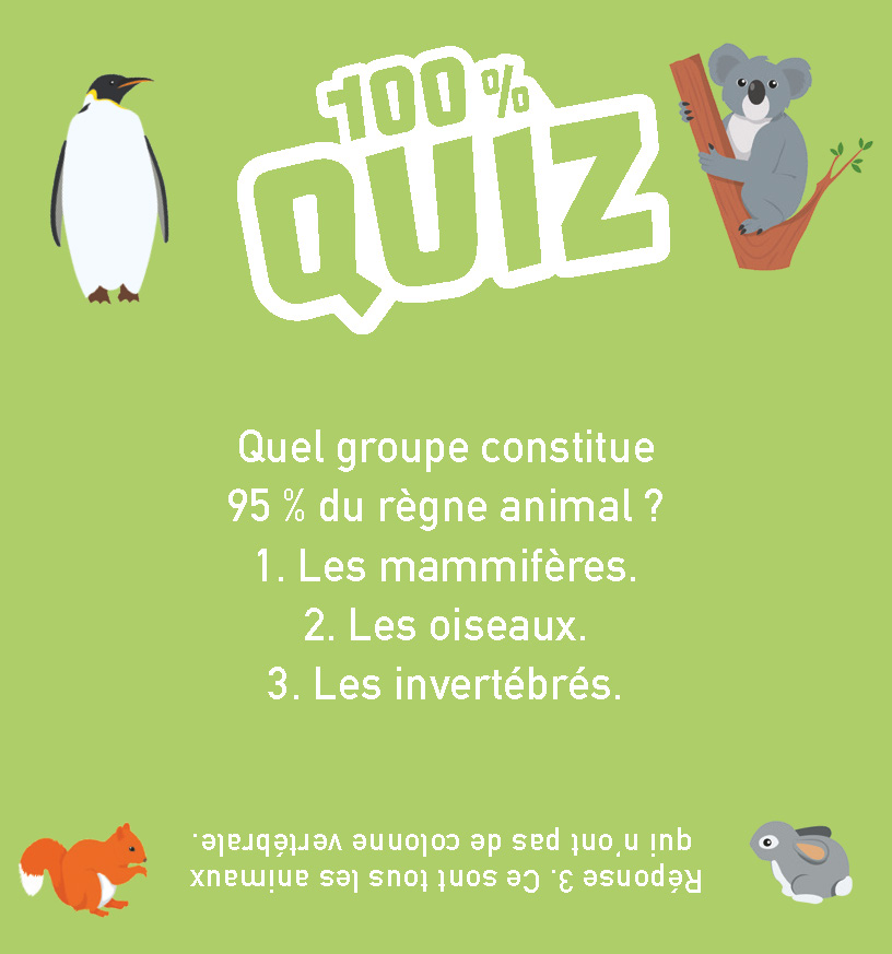 100% QUIZ ANIMAUX//BOITES QUIZ/LAROUSSE/ - L'ADRS